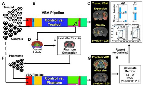 Overview Of The Vba Validation Framework Control And Treated Images Download Scientific