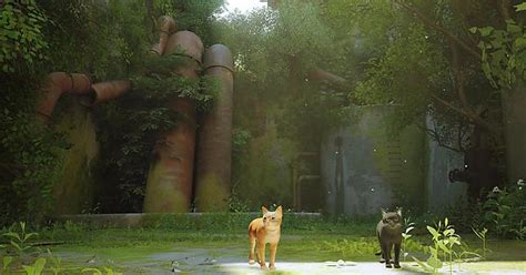 Stray Ps5 Album On Imgur