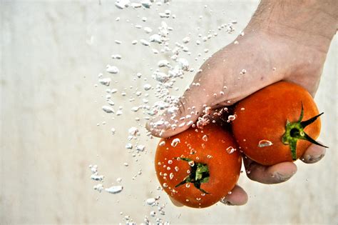 물 튀김 속의 신선한 토마토 · 무료 스톡 사진