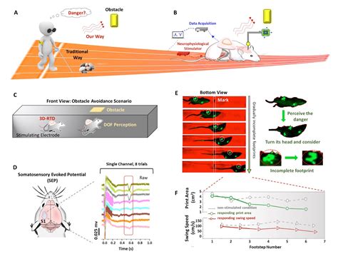 中科院深圳先进院李光林 邰艳龙研究员《sci Adv 》：具有三维景深感知的人工遥感触觉器件 中国聚合物网科教新闻