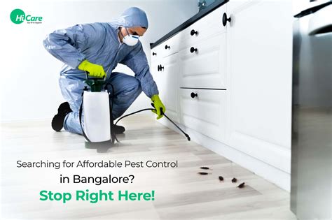 Affordable Best Pest Control Services In Bangalore Hicare