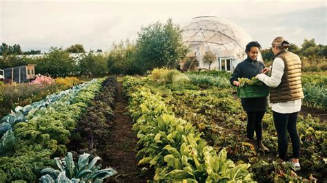 Pwc Scaling Breakthroughs For Net Zero Source