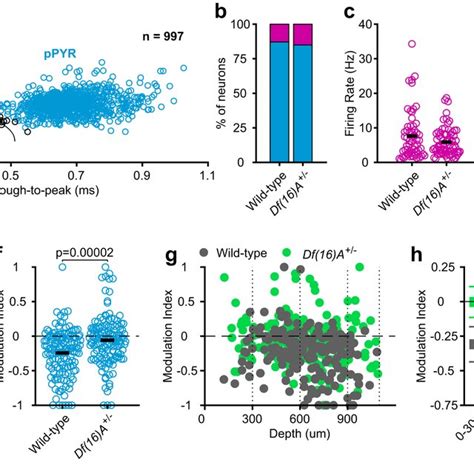 Attenuation Of Self Generated Sounds In Df 16 A − Mice Across Cell Download Scientific Diagram