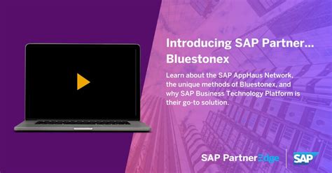 Video Sap Partneredge On Linkedin Introducing Sap Partner Bluestonex