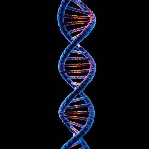 Sebastian Rauschert Data Scientist