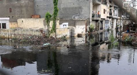 Temperature Drops As Heavy Rain Lashes Punjab Ludhiana Records Highest
