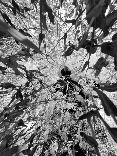 Rüveyda Photography Rüveyda Photography