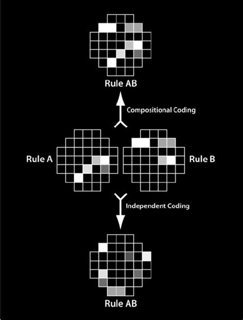 Alternative Ways Of Coding Complex Rules In The Middle Examples Of Download Scientific