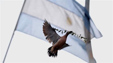 La Bandera Argentina Es ¿celeste Y Blanca O ¿azul Y Blanca
