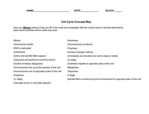 Cell Cycle Mitosis Worksheet Concept Map