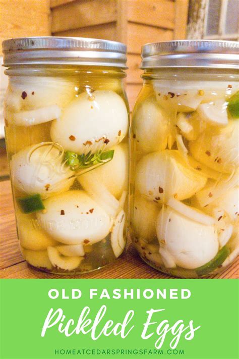 22 Pickled Eggs Spicy Recipe Yussefaltea