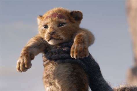 “lion King” хамгийн өндөр орлоготой хүүхэлдэйн кино боллоо