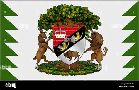 The Image Appears To Depict An Unknown Or Unclear Subject Due To An Illegible Or Corrupted Title