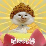 AI修复女生宿舍拍到巨大的龙