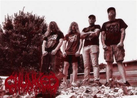 Chunked Encyclopaedia Metallum The Metal Archives