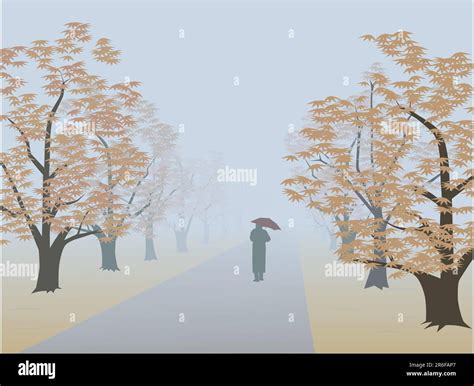 Tree Lined Pathway Stock Vector Images Alamy