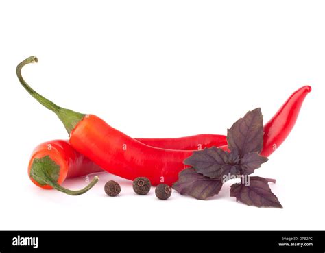 Hot Red Chili Or Chilli Pepper And Basil Leaves Still Life Isolated On