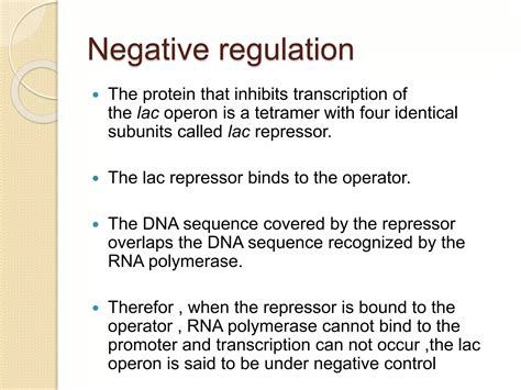 Regulation In Lac Operon Pptx