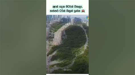 ඇස් දෙක බාගෙට වහන් තත්පර 5ක් බලන්න 🤭💖 Youtube