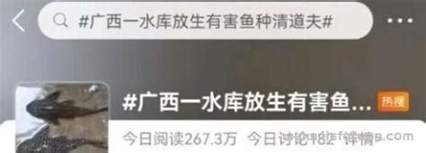清道夫是什么鱼水库放生清道夫后果有多严重 猎富团