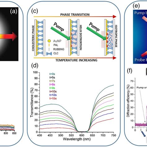 schematic of the preparation process of the p nipam‐co‐nipmam aunrs
