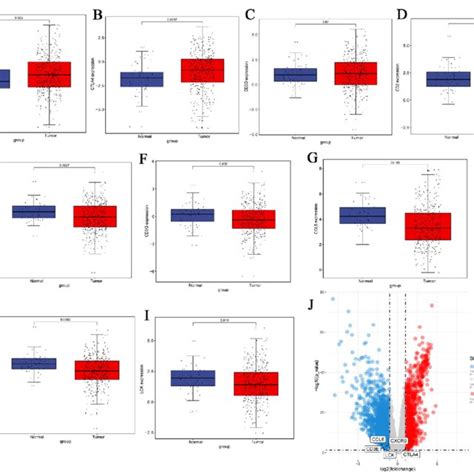 Verification Of Hub Genes Expression In Hcc Samples And Adjacent