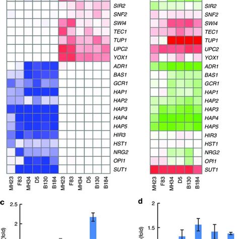 Reporter Transcription Factors TFs Analysis Revealed Important Download Scientific Diagram
