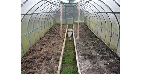 Обеззаразяване на парника Български Фермер