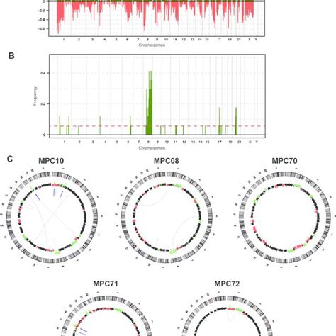 Microarray Based Comparative Genomic Hybridization Frequency Plots And