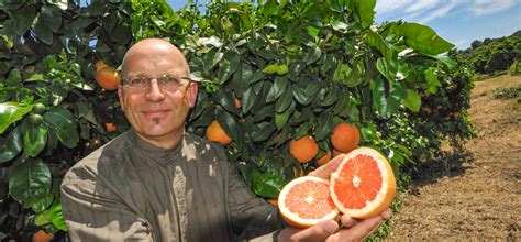 sanitas Produkte - sanitas – besser. natürlich. gesund.