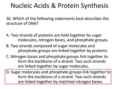 Best Describes The Composition Of A Nucleotide