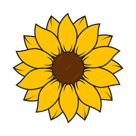 Premium Vector Sunflower Clipart Sunflower Vector Sunflower