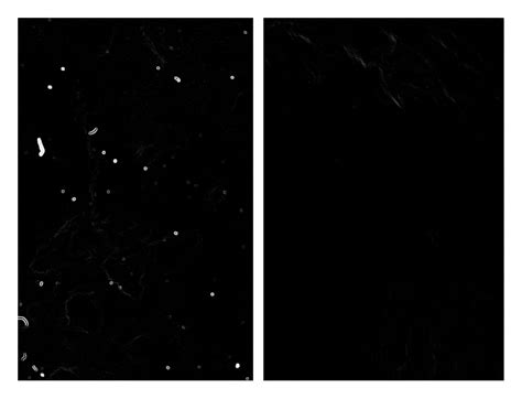 Camera Sensor Cleaning The Ultimate Step By Step Guide