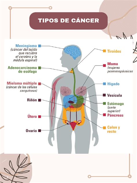 Tipos De Cáncer Pdf