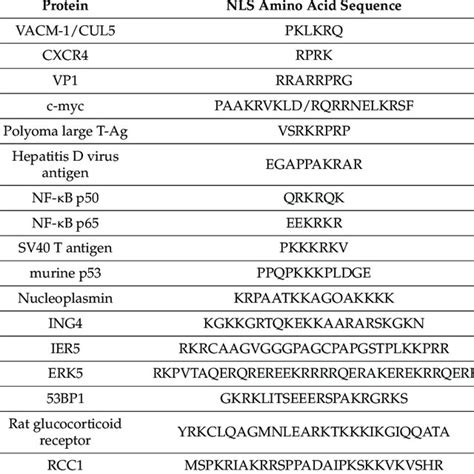 Different Nls Sequences Recognized By Different Importins Download