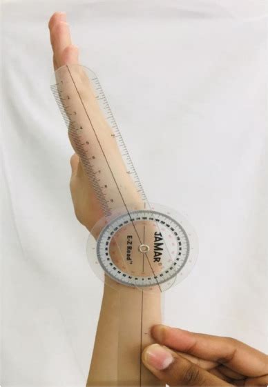 Normative Values And The Influence Of Sex Hand Dominance And Direction Of Movement On Active