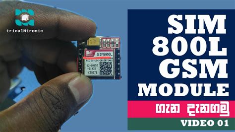 Sim800l Gsm Module Introduction To Sim 800l Gsm Module How To Connect Sim 800l Gsm Module