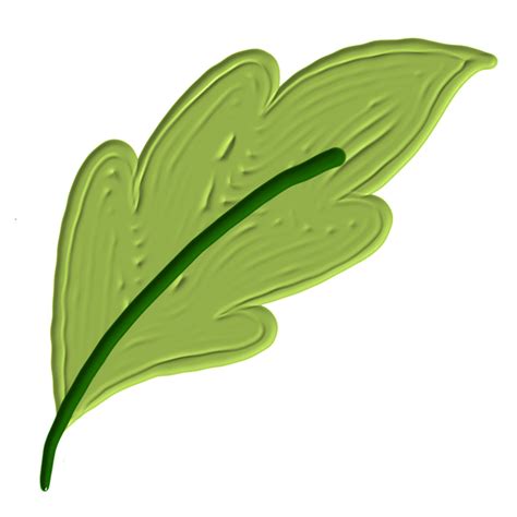 A Green Leaf 23451144 Png