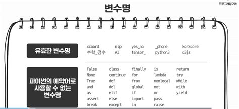 파이썬 python 변수