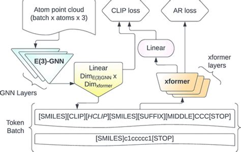 Coati Multimodal Contrastive Pretraining For Representing And