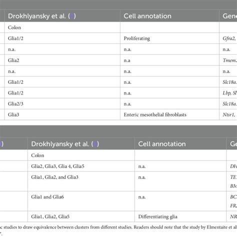 Depiction Of The Enteric Nervous System And Its Components Which Download Scientific Diagram
