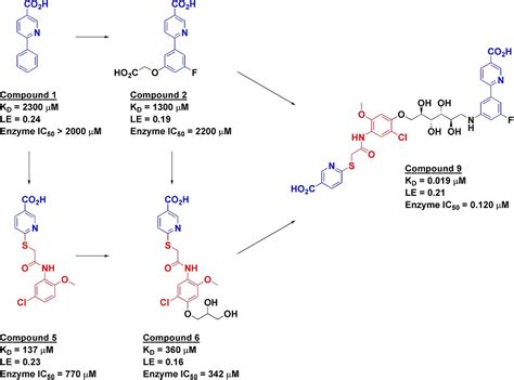 Practical Fragments Fragment Linking For Ldha Ariads Turn
