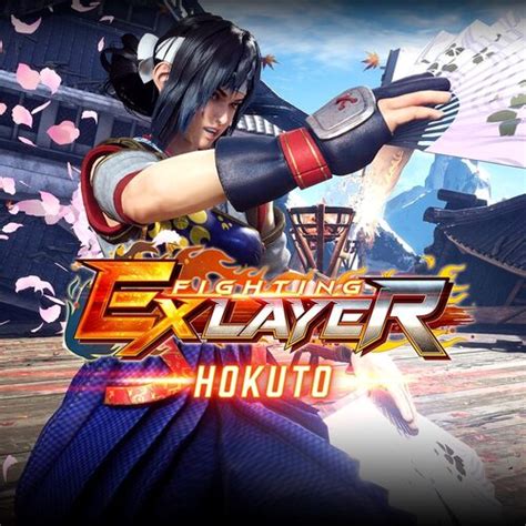 Fighting Ex Layer Character 01 Hokuto Deku Deals
