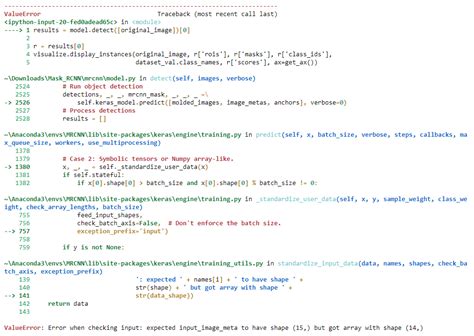ValueError Error When Checking Input Expected Input Image Meta To Have Shape But Got