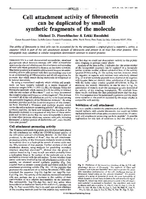 Pdf Cell Attachment Activity Of Fibronectin Can Be Duplicated By Small Synthetic Fragments Of