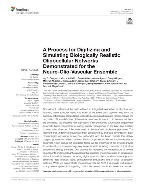 Pdf A Process For Digitizing And Simulating Biologically Realistic Oligocellular Networks