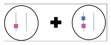 A Chromosomal Microarray Results Demonstrating The 726 Kb Duplication Download Scientific