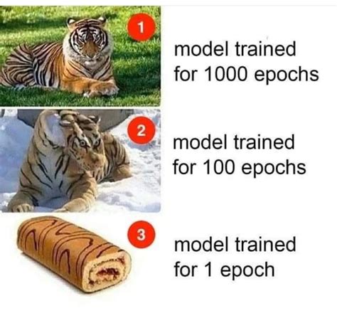 Data Visualizer On Linkedin Meme Joke Deeplearning
