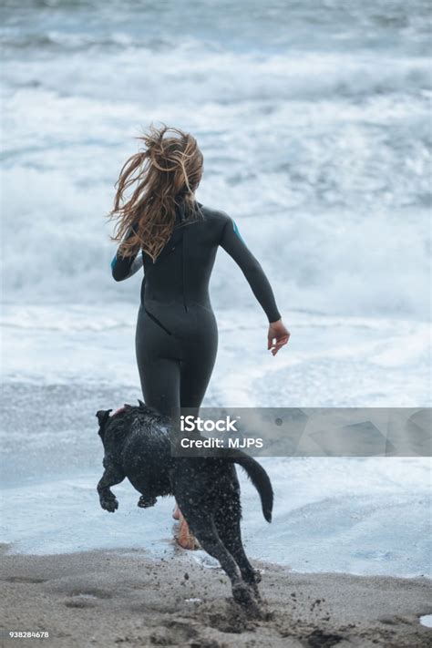 젊은 여 자가 해변에 잠수복을 입고 수영 하기 전에 스트레칭 개에 대한 스톡 사진 및 기타 이미지 개 건강한 생활방식 네오프렌 Istock