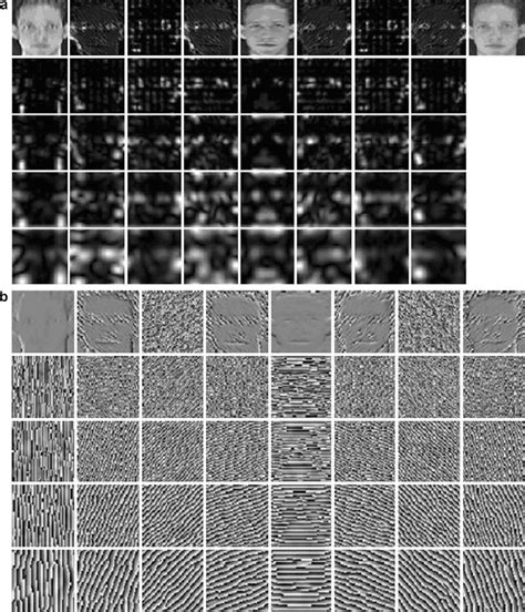 The Gabor Wavelet Representation Of A Sample Image A The Magnitude